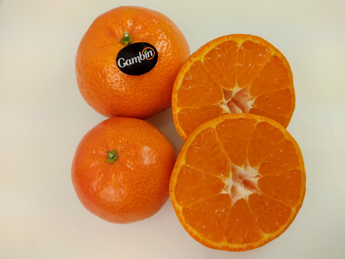 Mandarina Nadorcott: origen y características